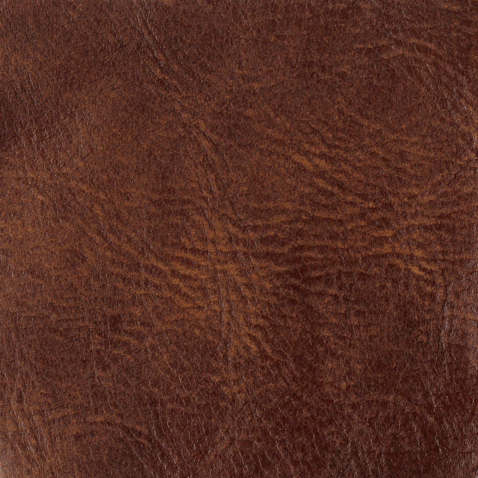 Elegant – Baron Leather